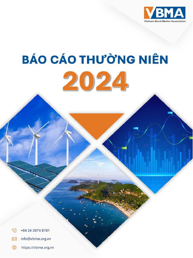 Vbma_bao Cao Thuong Nien 2024 | PDF