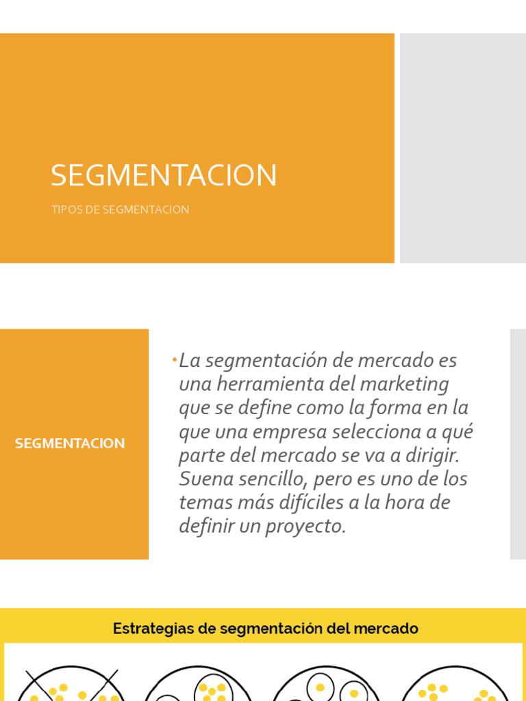 MKT Segmentacion | PDF | Segmentación de mercado | Producto (Negocio)