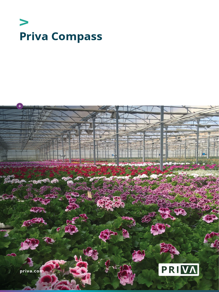 Priva Compass 过程 | PDF