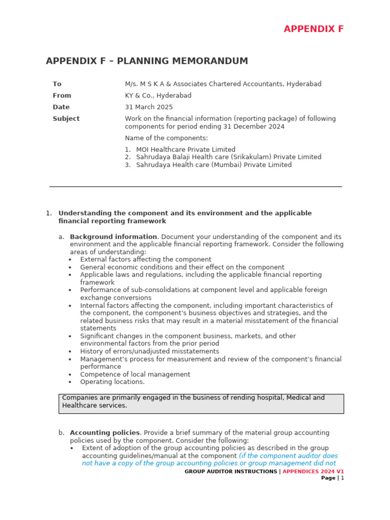 Appendix F - Planning Memorandum | PDF | Internal Control | Audit
