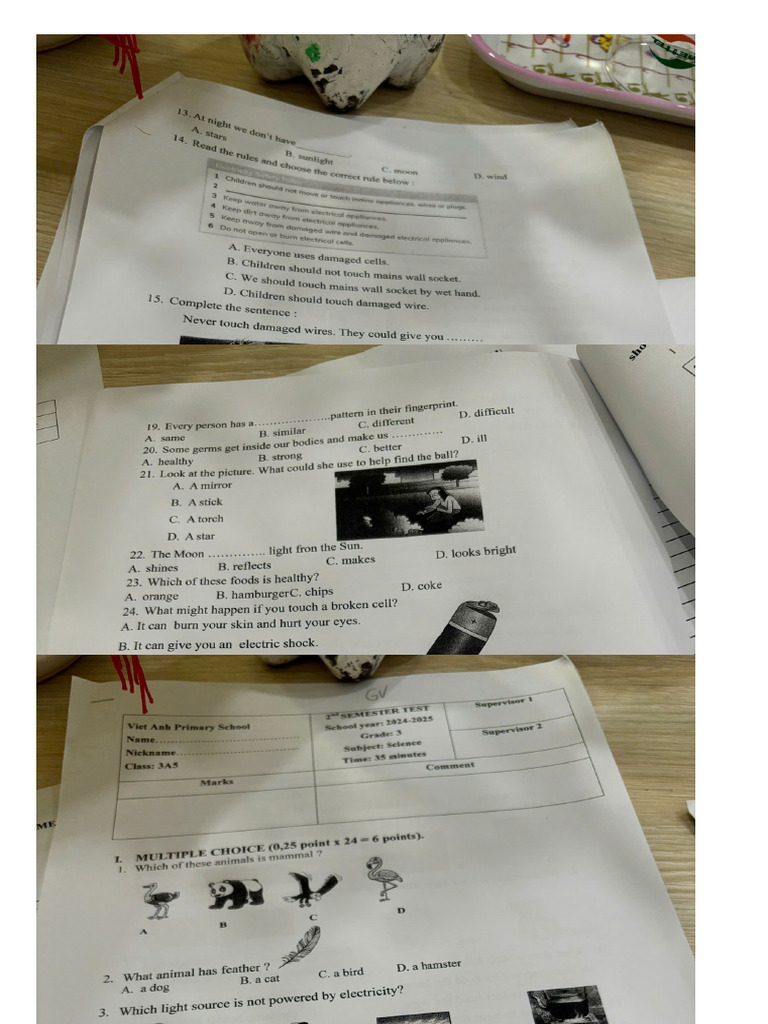 test_exam_paper | PDF