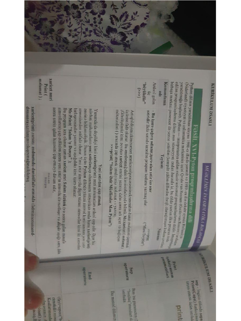 Payton Alplogo | PDF