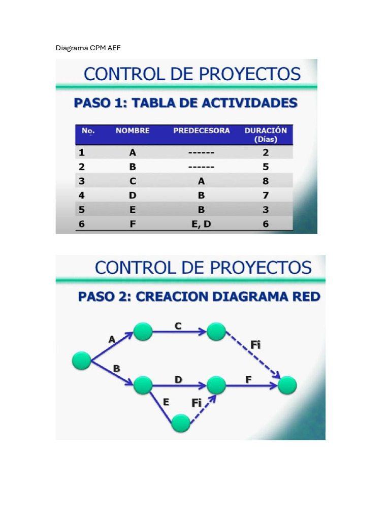 Diagrama CPM AEF | PDF