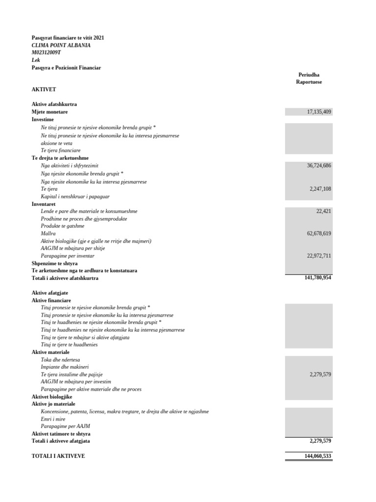 1-Pasqyra e Pozicioni Financiar - xlsx10!15!2023 | PDF