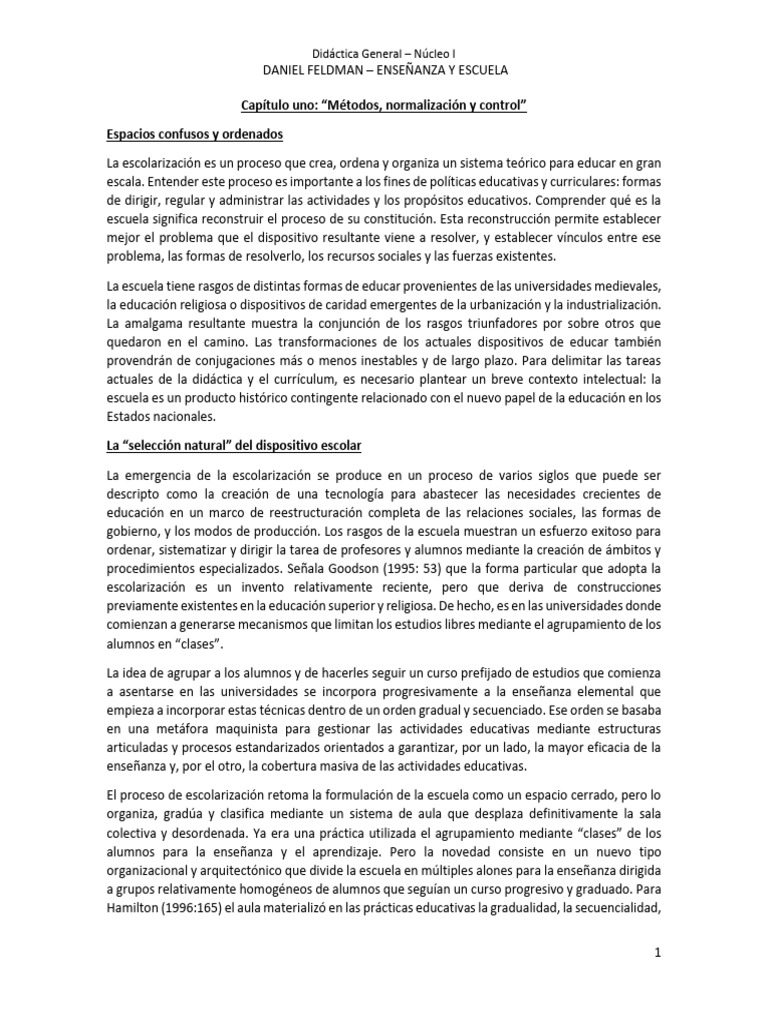 DANIEL FELDMAN - ENSEÑANZA Y ESCUELA Resumen | PDF | Plan de estudios | Enseñando
