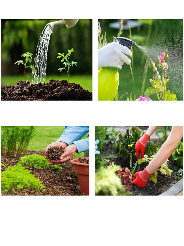 Watering | PDF