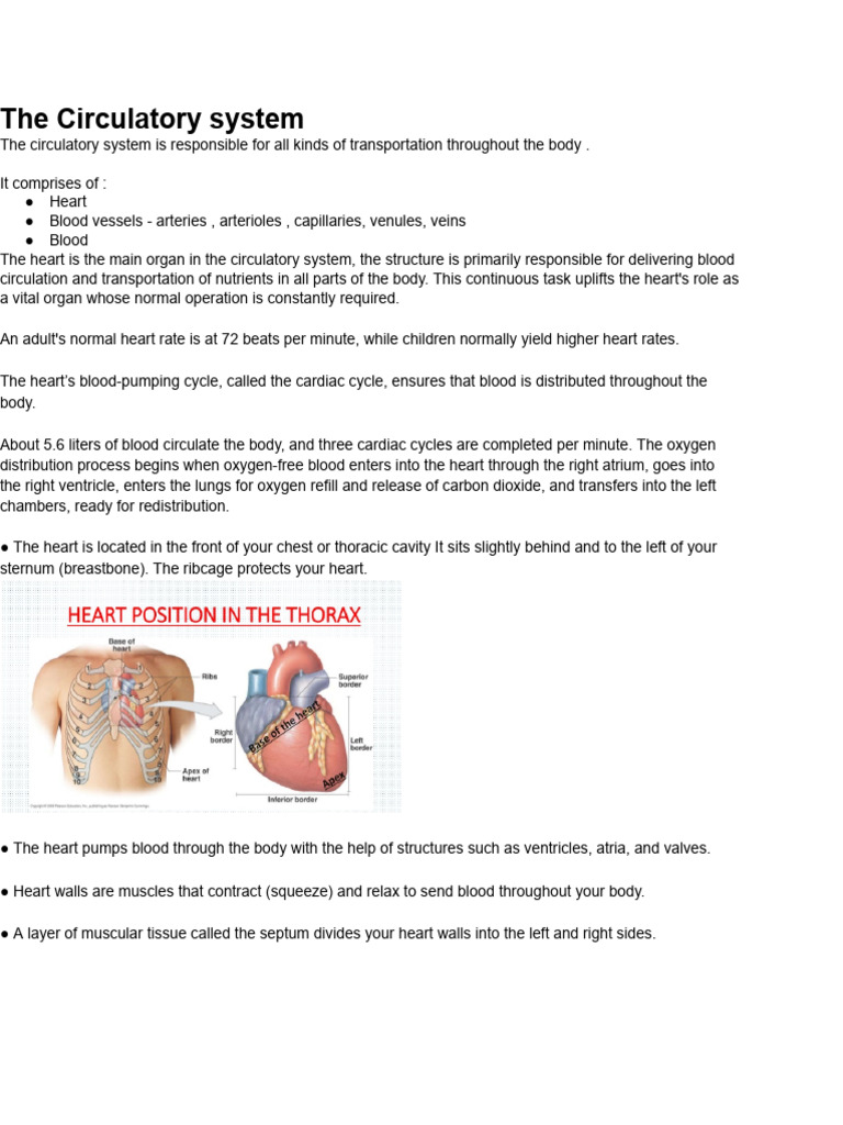 Sem 1 Module 3 - Circulatory System. The Heart Structure and Function ...