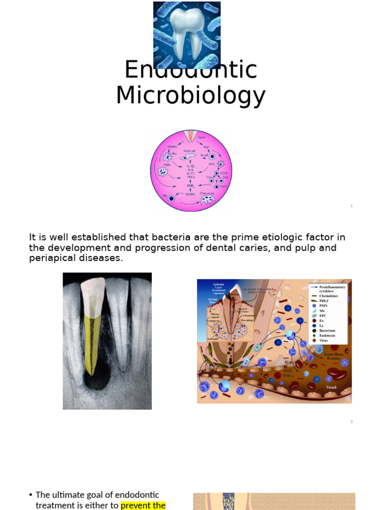 3 Endodontic Microbiology | PDF | Biofilm | Lipopolysaccharide