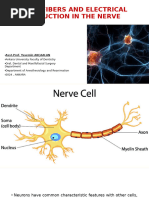 Lesson 1 Physiology of Excitable Tissue - Nerve and Muscle | PDF ...