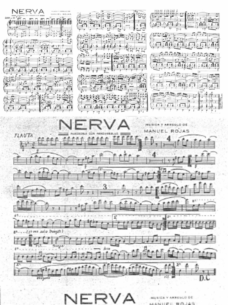 Nerva | PDF