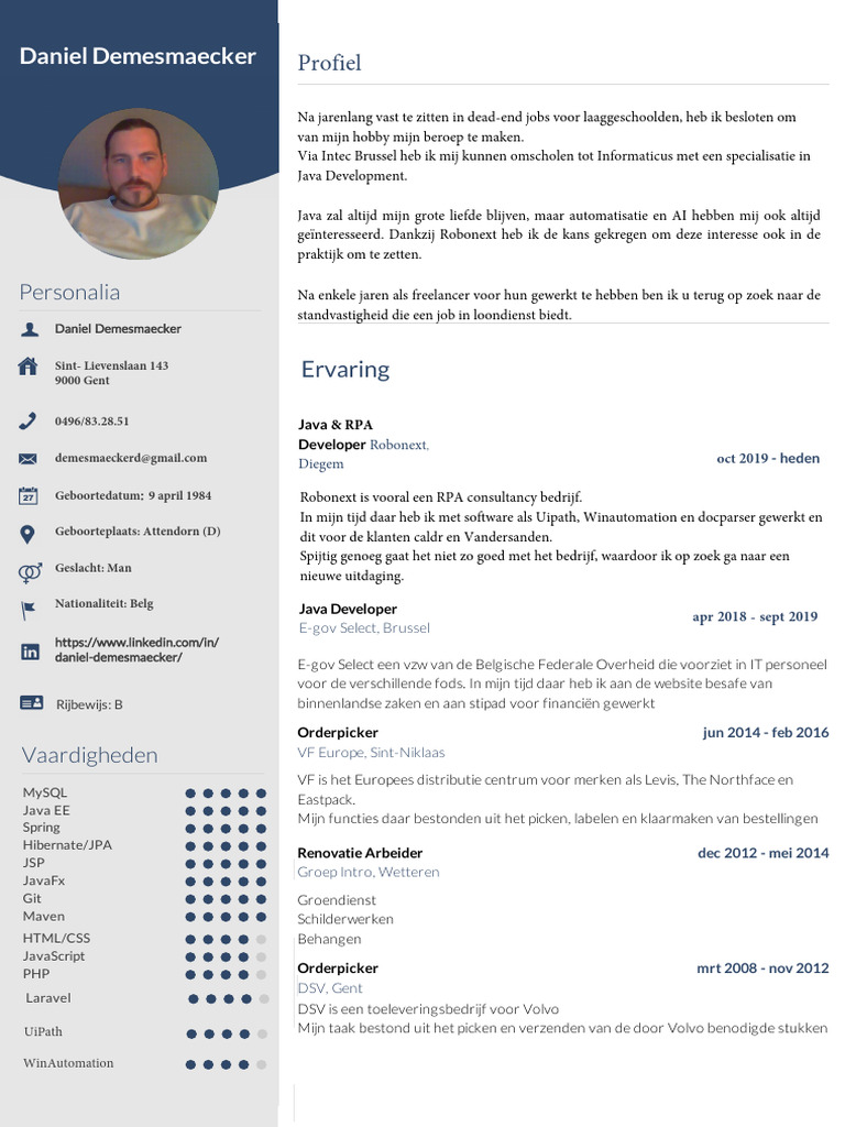 CV Daniel Demesmaecker | PDF