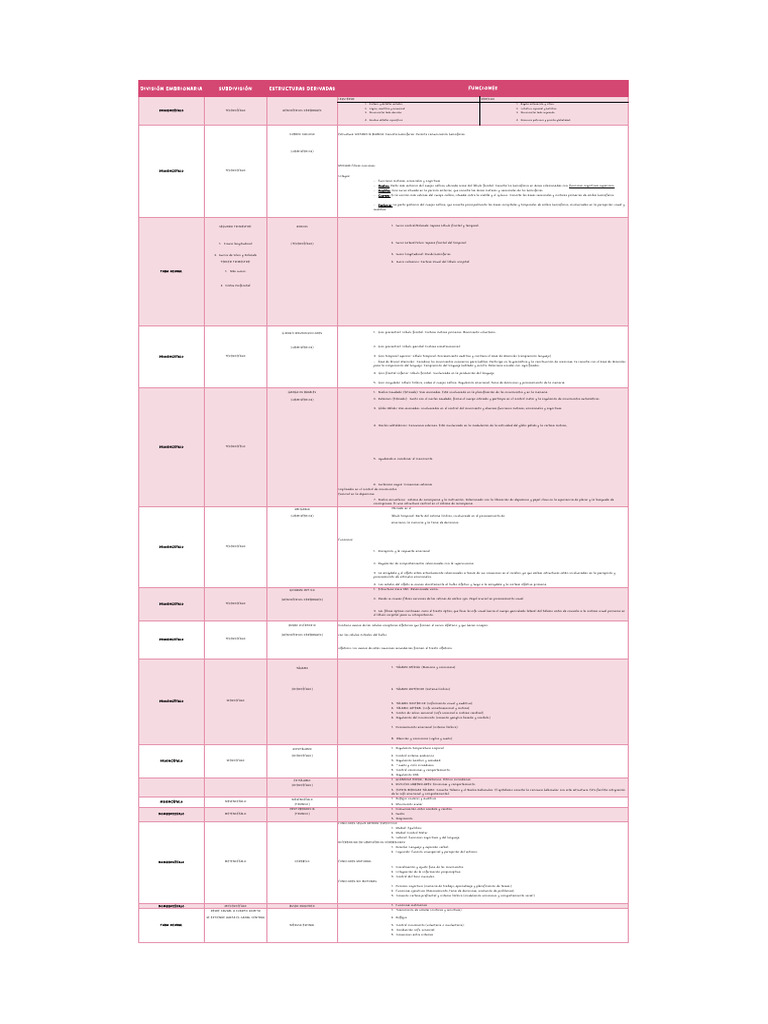 Tabla Estructuras | PDF | Hemisferio cerebral | Cerebro