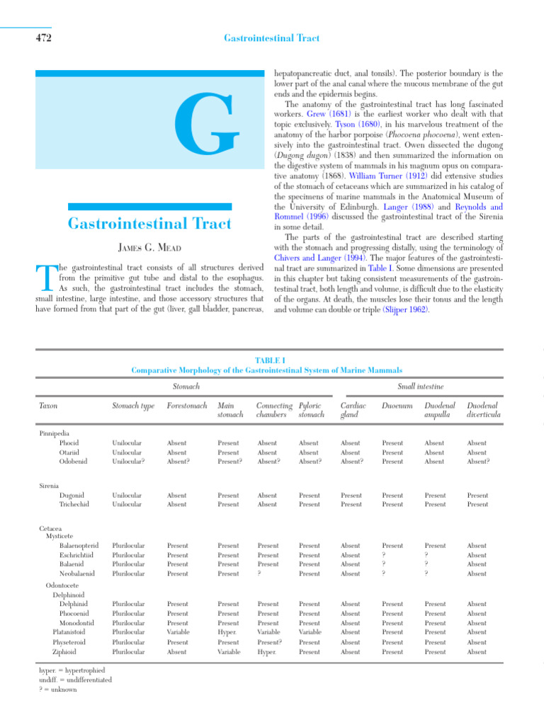 Marine Mammal Intestinal Tract | PDF | Stomach | Small Intestine