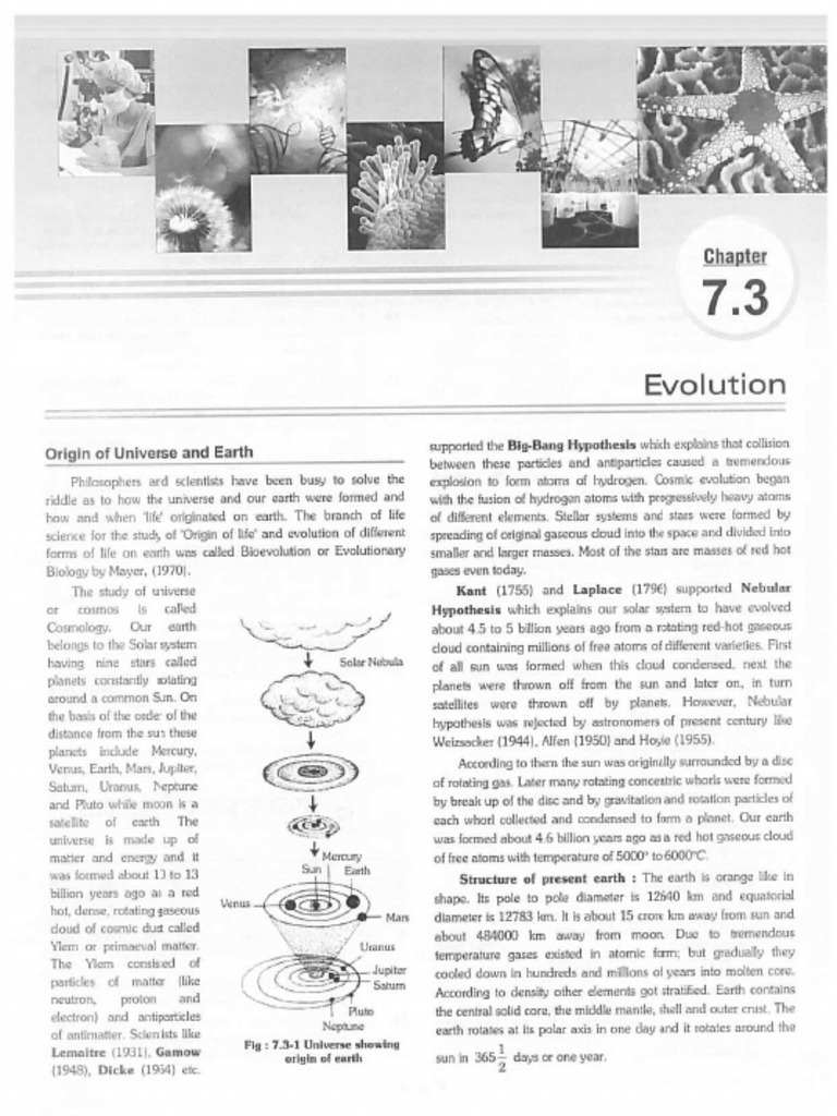 QJC PPQ 3 PTy 8 NW TMu NJ7 O | PDF