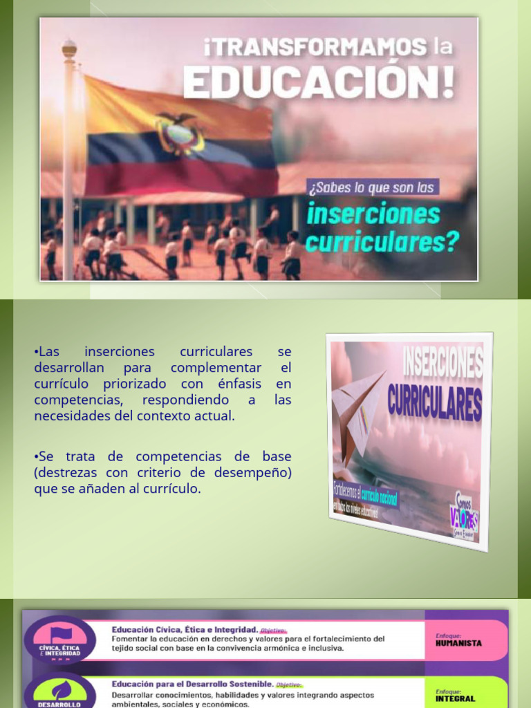 Inserciones Curriculares 2025 | PDF | Evaluación | Sustentabilidad