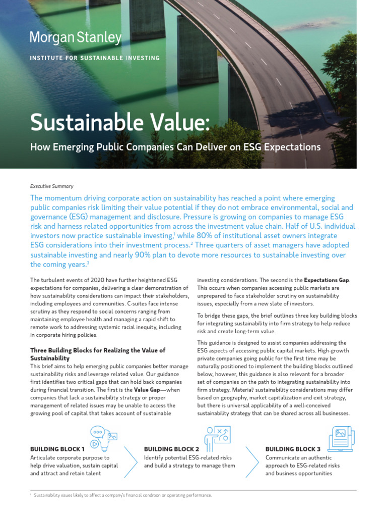 Sustianable Value Delivering ESG Expectations | PDF | Sustainability | Investing