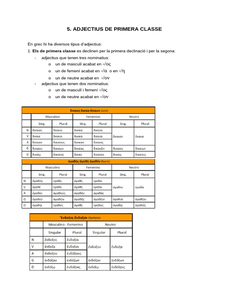 Gr1 5. Adjectius de 1a Classe | PDF