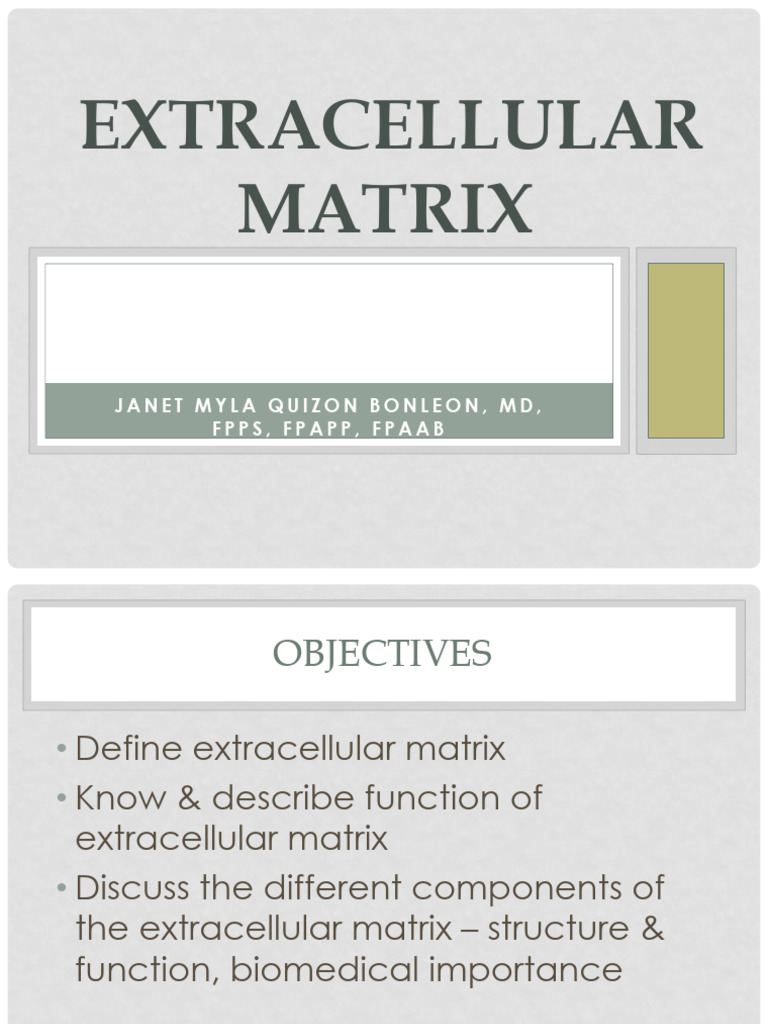 Lecture INST-100957 2025 04 17 20 46 06 | PDF | Extracellular Matrix | Collagen