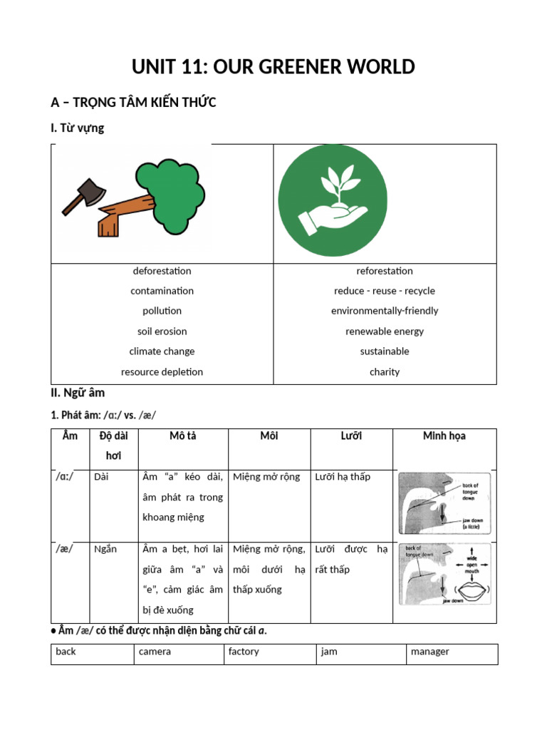 Bồi dưỡng HSG Tiếng anh lớp 6 mới 11. UNIT 11. OUR GREENER WORLD | PDF