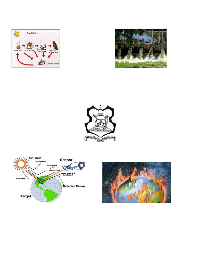 Ge 3451 - Environmental Sciences and Sustainabilty | PDF | Ecosystem ...