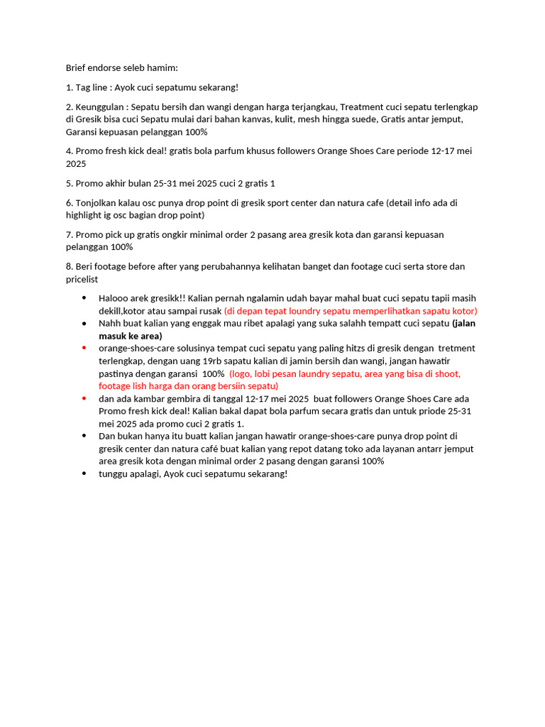 Brief endorse seleb zain | PDF