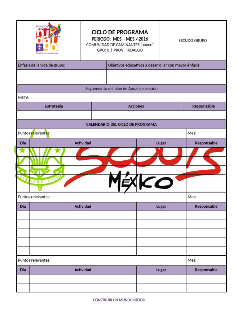 Formato-Ciclo de Programa | PDF