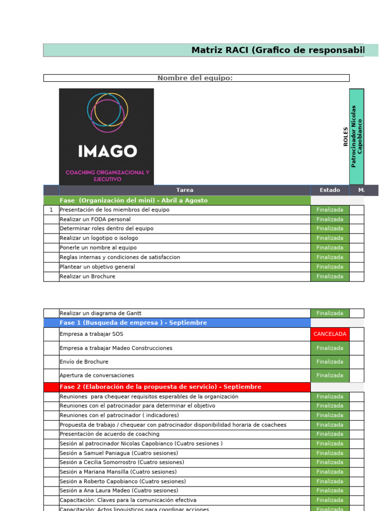 Matriz RACI de Roles y Responsabilidades | PDF