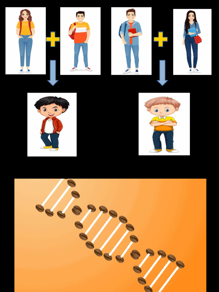 12b06 Molecular Basis of Inheritance | PDF | Genetic Code | Operon