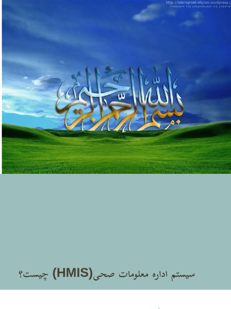 What Is HMIS New | PDF