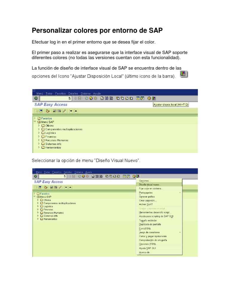 Instructivo para Personalizar Colores Por Entorno SAP | PDF