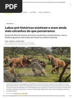 Vombate: Cocô em Forma de Cubo | PDF