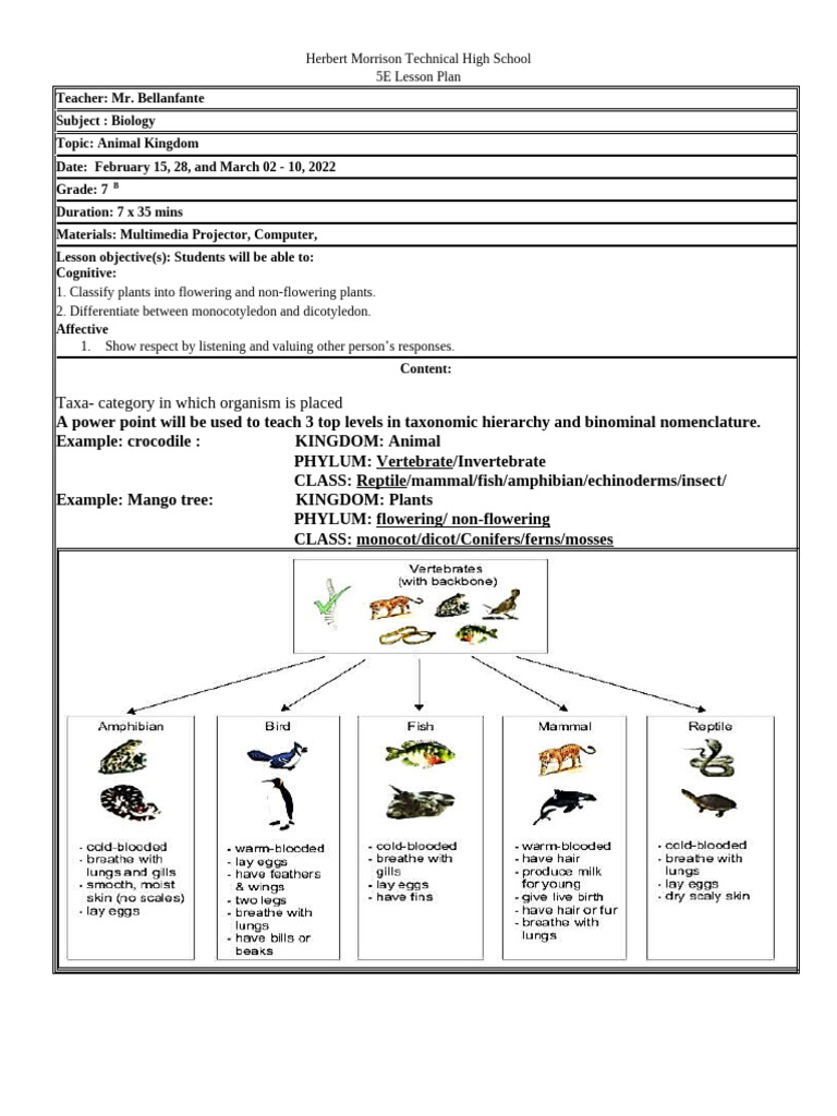 13th Lesson Animal Kingdom | PDF | Taxonomy (Biology) | Biology