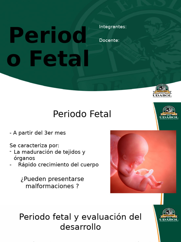 Embriologia_PPT_1 | PDF | Feto | Reproducción