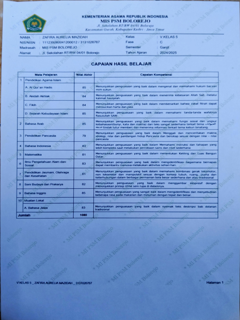 Raport Zafira Hal 1 | PDF