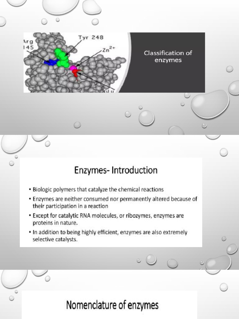 Enzymes Classification and Nomenclature | PDF