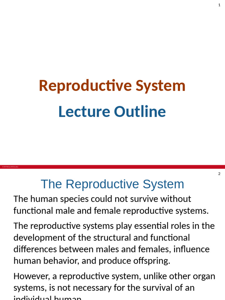 ch19 - Lecture - PPT - A | PDF | Menstrual Cycle | Ovary