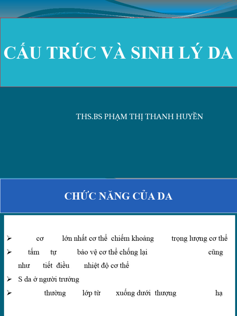 Cấu Trúc Da Ykv 2024. | PDF
