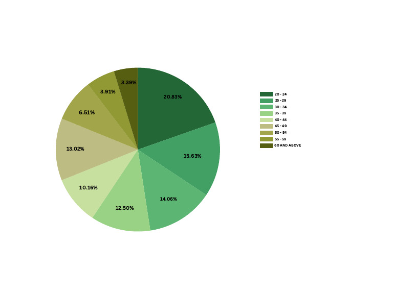 Colorful Budget Graph - 20250513 - 234329 - 0000 | PDF