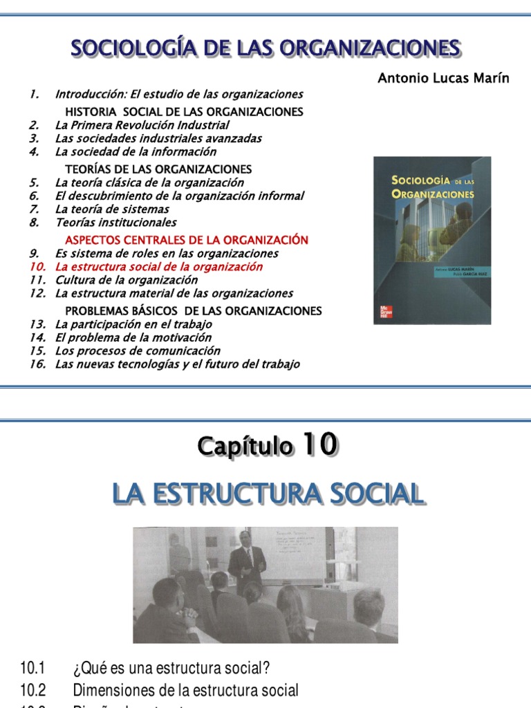 Análisis de las teorías y estructuras sociales de las organizaciones | PDF | Estructura social ...