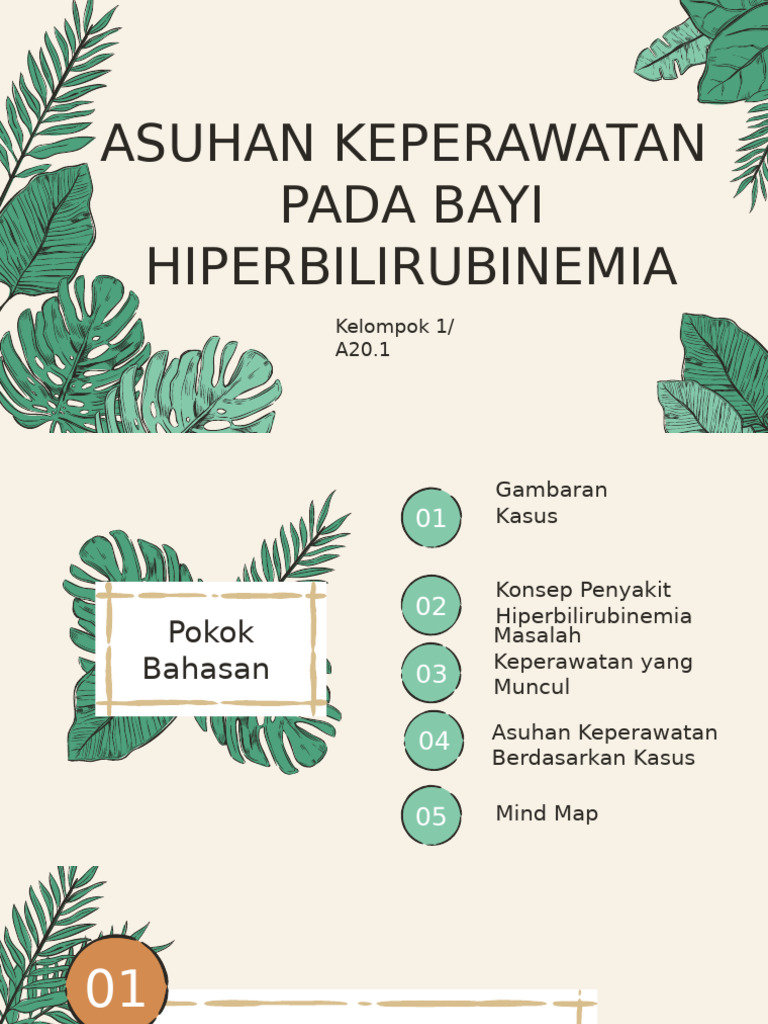 Presentasi - Kelompok Asuhan Keperawatan Bayi Hiperbilirubinemia | PDF