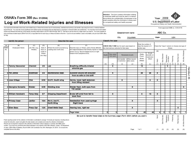 OSHA Work-Related Injury Log 2009 | PDF | Occupational Safety And ...
