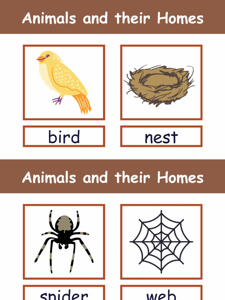 Animals and Their Homes | PDF