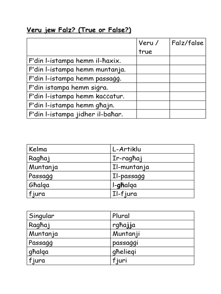 Lesson 7 Exercises and Explanation | PDF