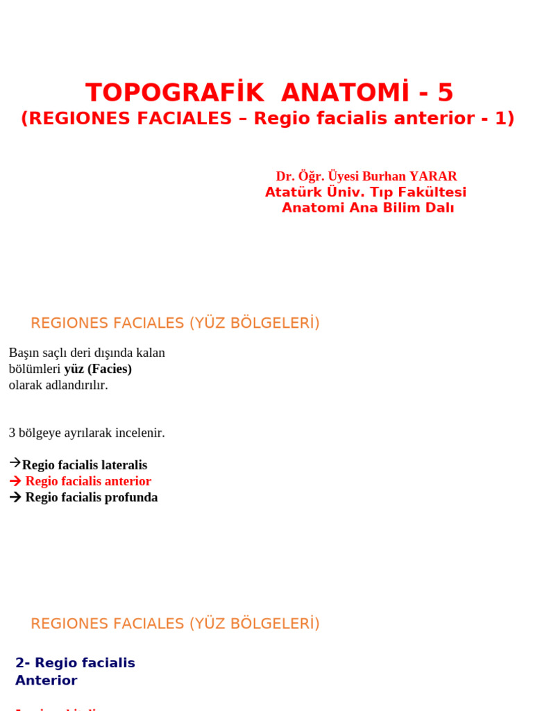 Ders 5 Topografi̇k Anatomi̇ (Regiones Faciales - Regio Facialis ...