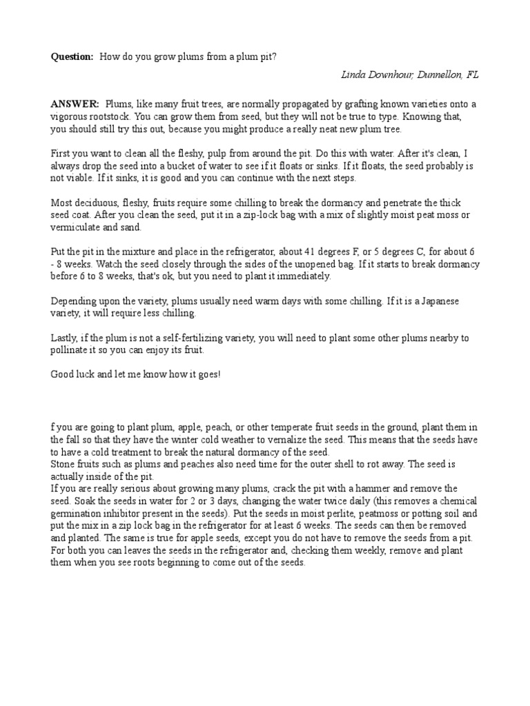 Question: How Do You Grow Plums From A Plum Pit? | PDF | Plum | Seed