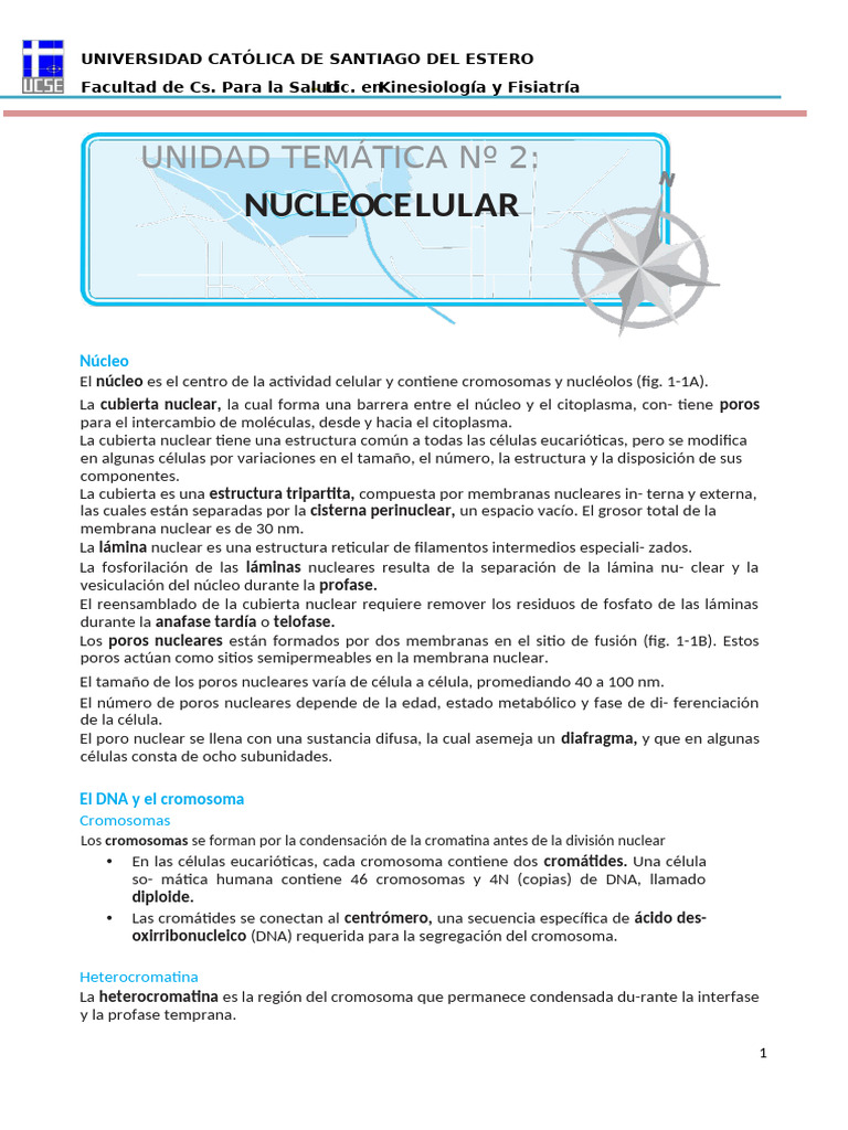 U3 Nucleo Celular | PDF | Nucleo celular | Histona