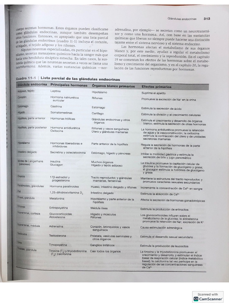 Tema de Hormonas de Morfo | PDF