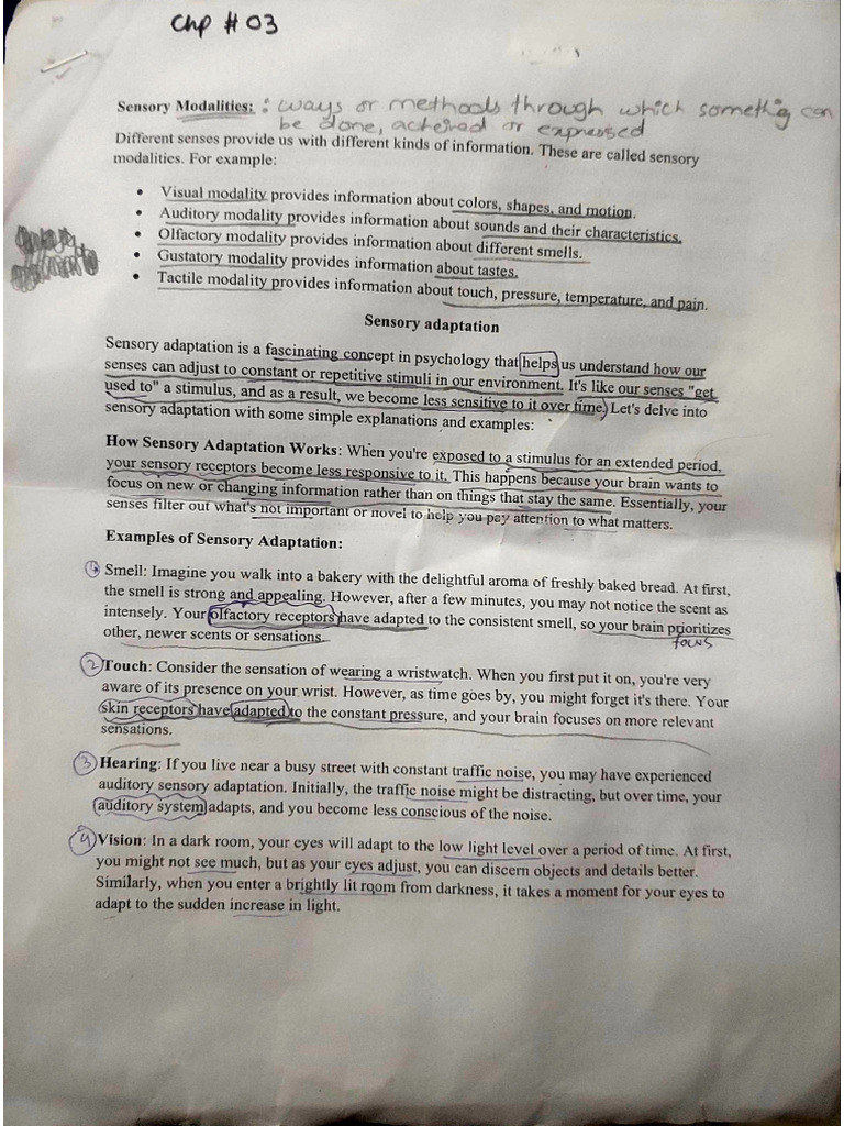 Sensation (Chap#3) | PDF