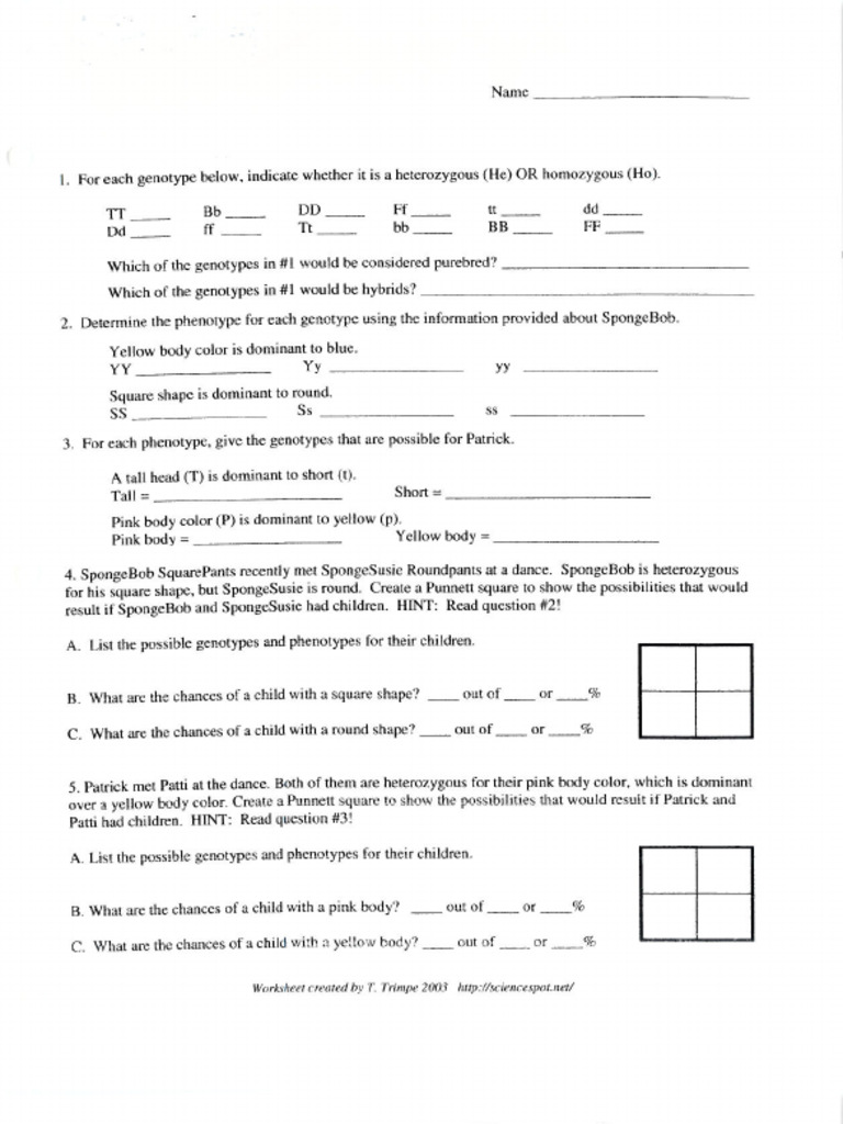 Spongebob Worksheet Heredity | PDF