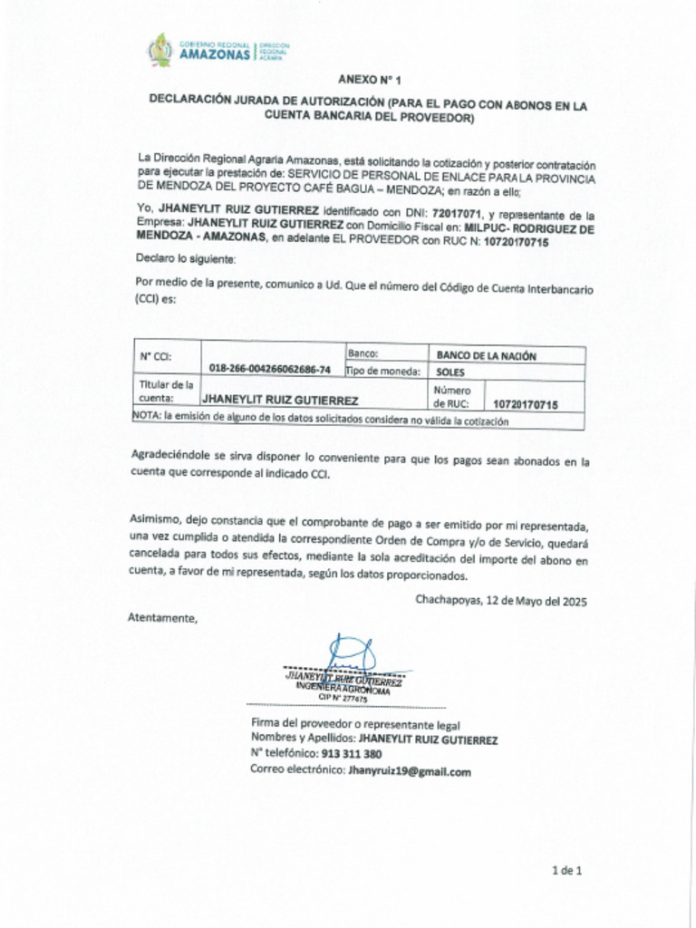 ANEXO 01 | PDF